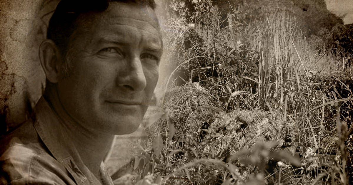 David Hackworth – SFTT